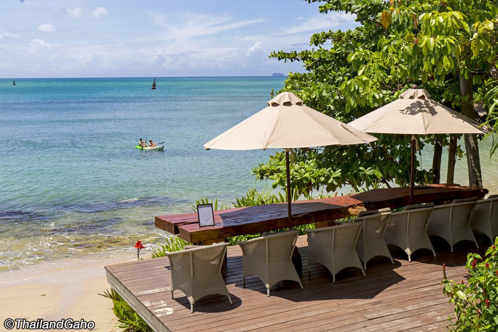 プーケット カフェ ログ (Phuket Café Log)